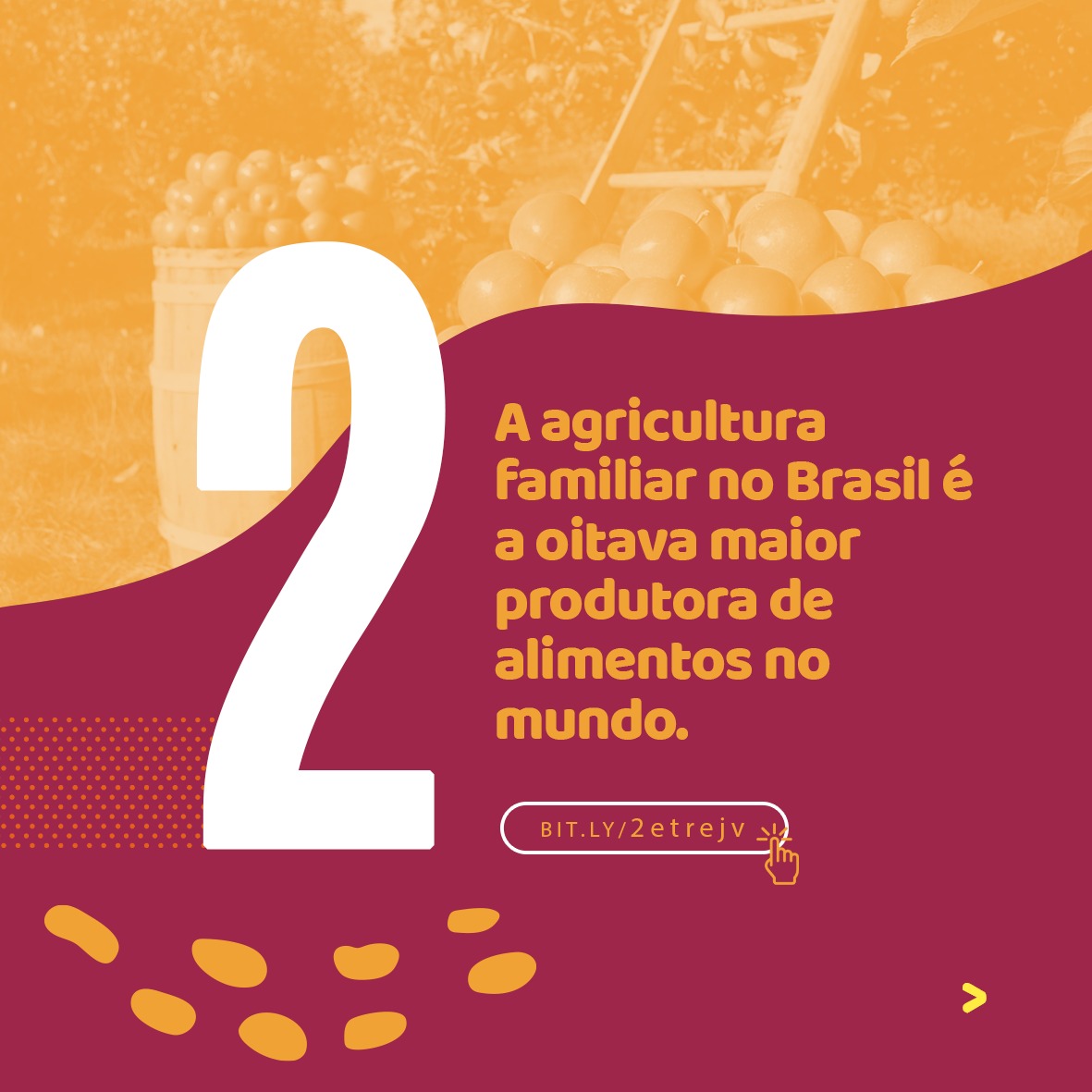 10 razões do porquê o agrofamiliar é o verdadeiro agronegócio do Brasil ...