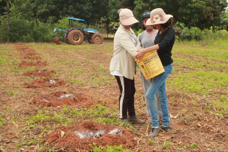 RECONECTE-SE: o valor da Assistência Técnica e Extensão Rural, a ATER ...
